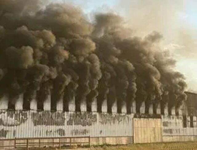 18,000 cows killed in Texas explosion; Machine fault in dairy farm ...